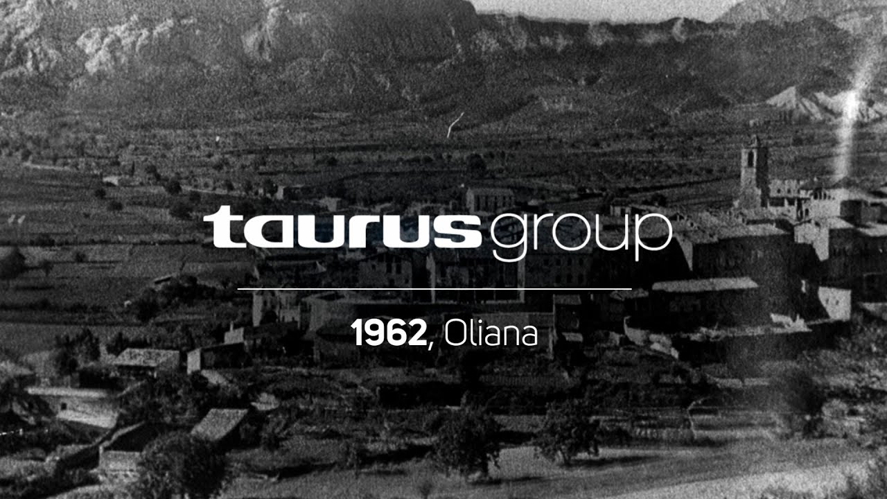 Taurus Group - Video corporativo - EN - YouTube