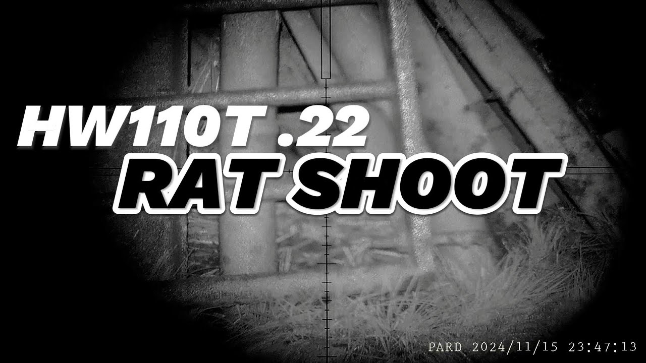 HW110T Rat Shooting - Dairy Farm - YouTube