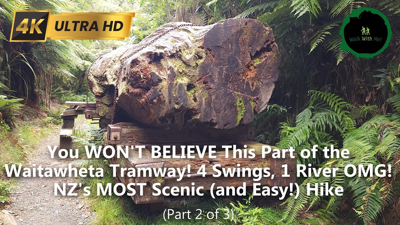 The Waitawheta Tramway: NZ's MOST Scenic Hike (Part 2), #nature # ...