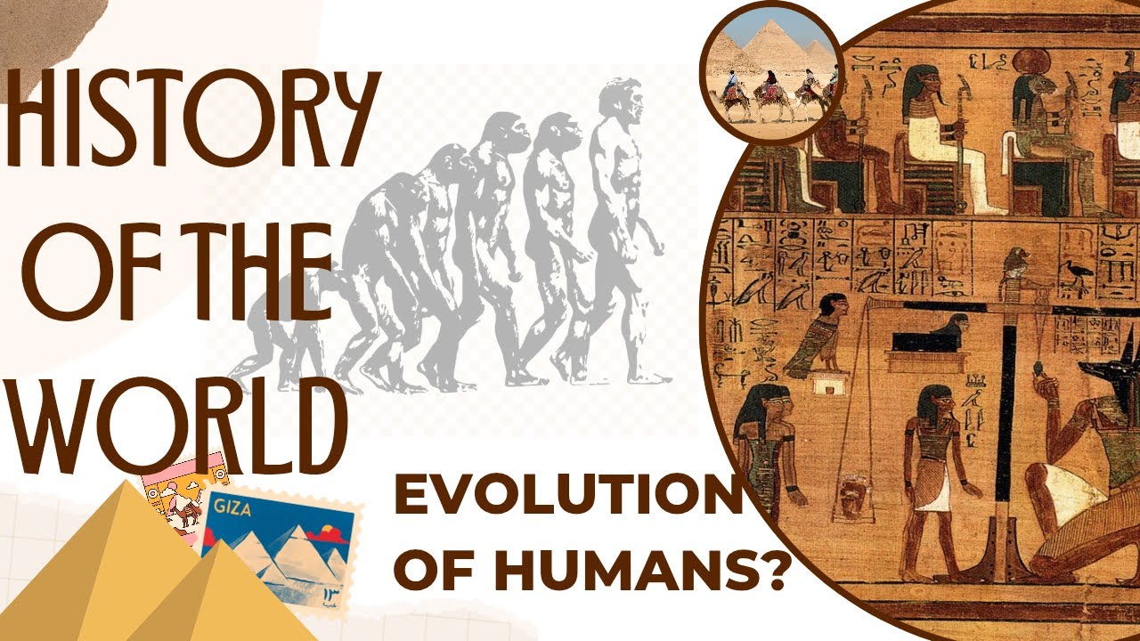 HOW HUMANS ARE EVOLVED ?? |Perspectives of Human Development - YouTube