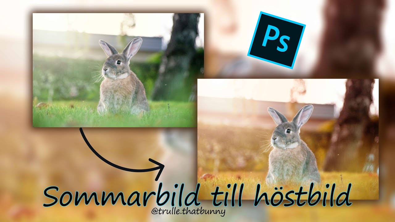Redigering sommarbild till höstbild - Photoshop - YouTube