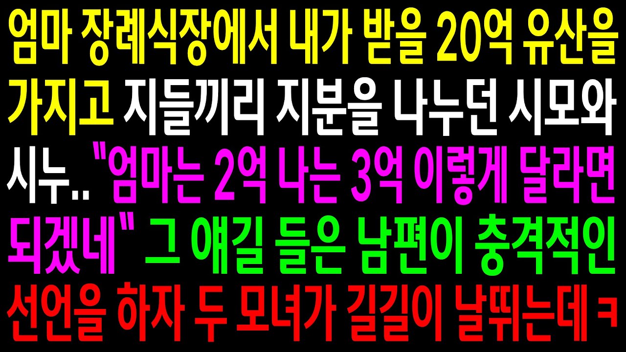 실화사연엄마 장례식장에서 내가 받을 20억 유산을 가지고 지들끼리 지분을 나누던 시모와 시누남편이 충격적인 선언을 하자 두 모녀가 날뛰는데 신청사연 사이다썰 사연