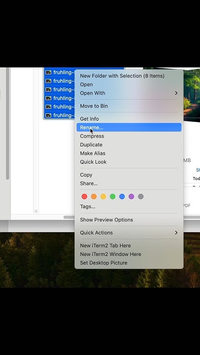 Mac Tutorial - Rename Multiple files at once - YouTube