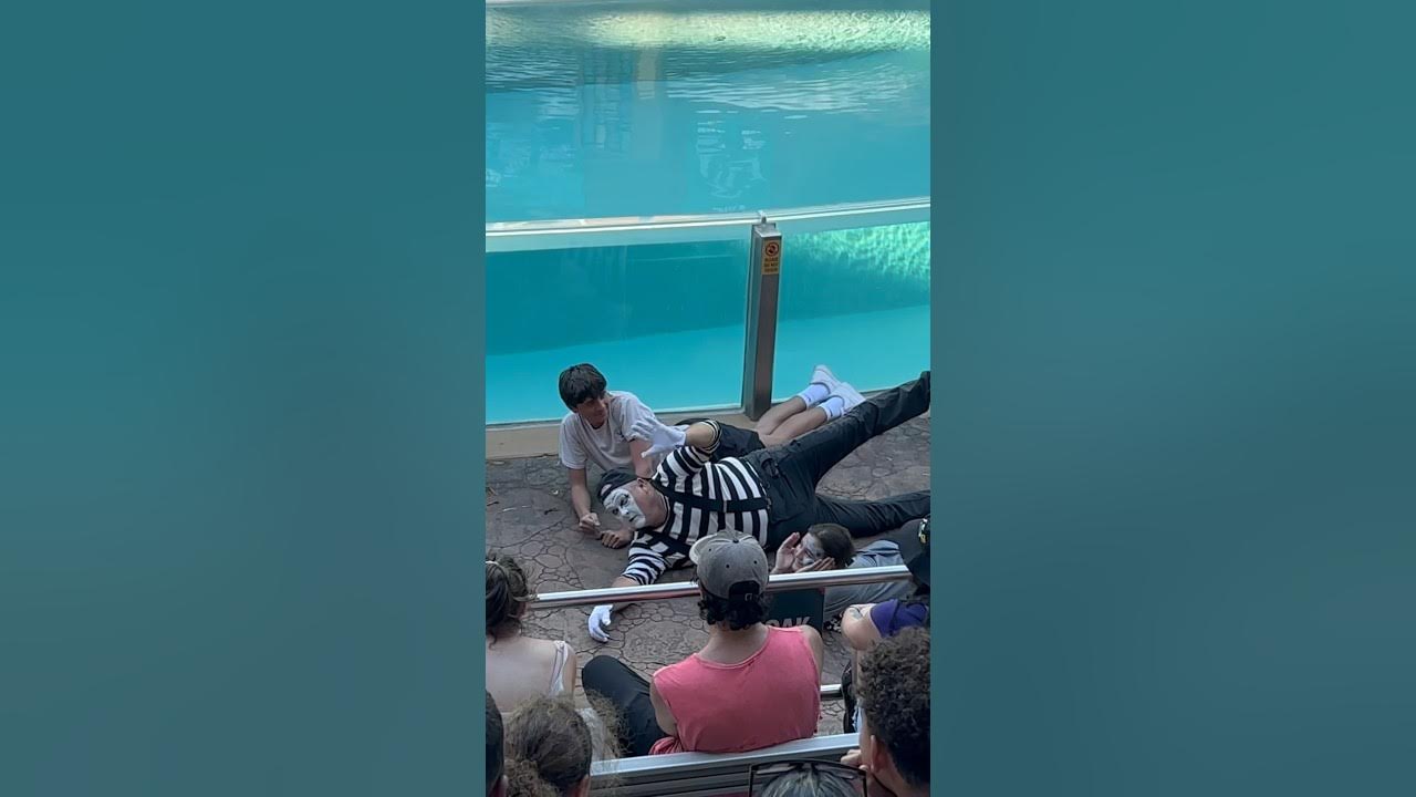 This Made My Day ðð Tom Mime Seaworld Seaworldmime Tomsworld
