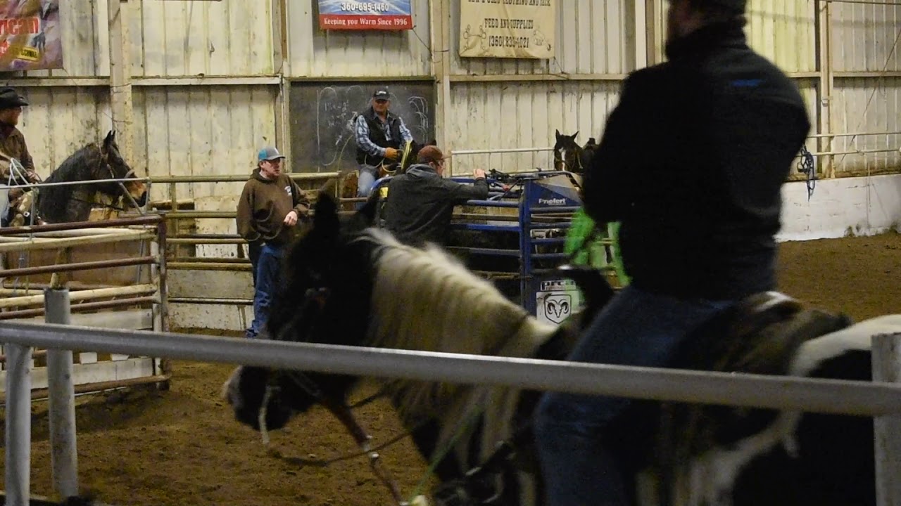 Team Roping Videos - YouTube