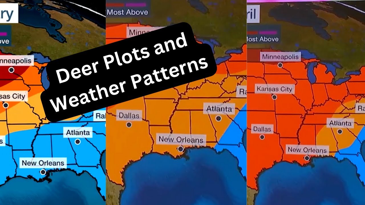 Deer Hunting Plot Planning with Weather Patterns - YouTube