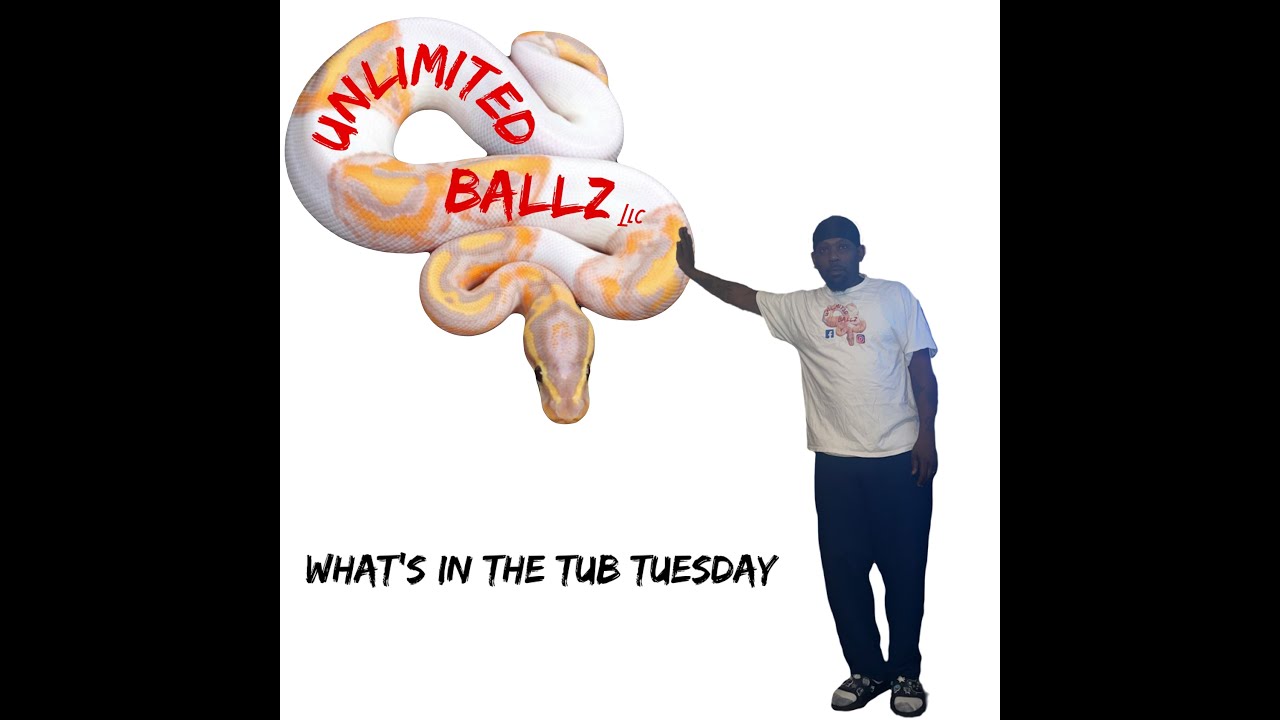 Feeding Time (Whats in the tub Tuesday) - YouTube