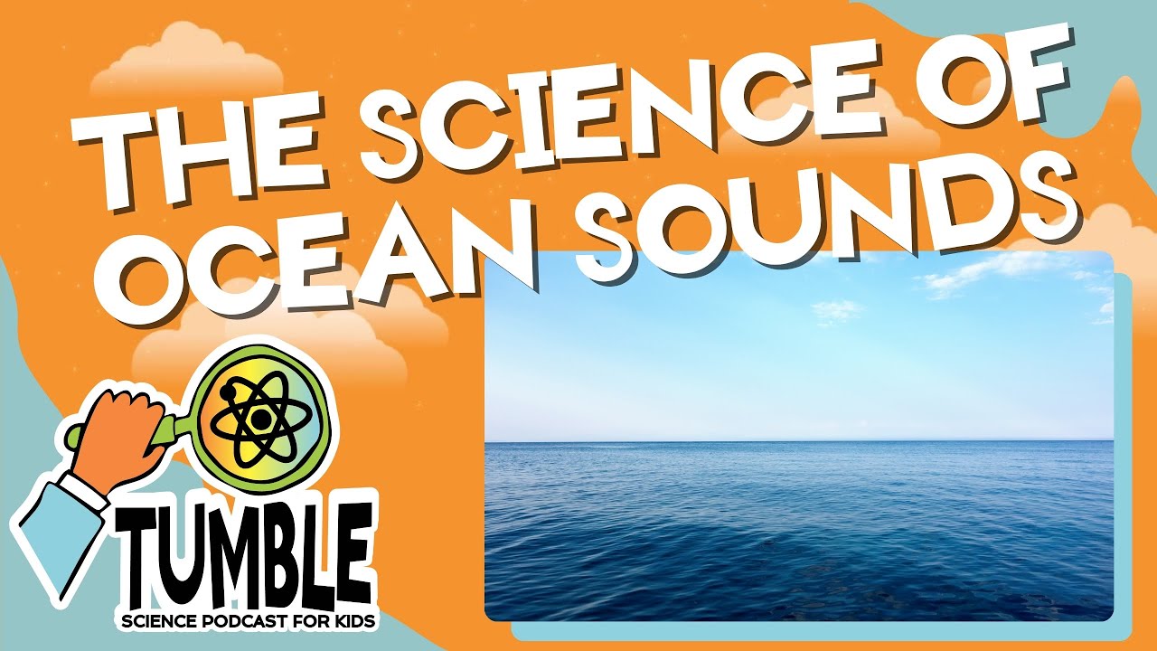 The Science of Ocean Sounds - Tumble Science Podcast for Kids - YouTube