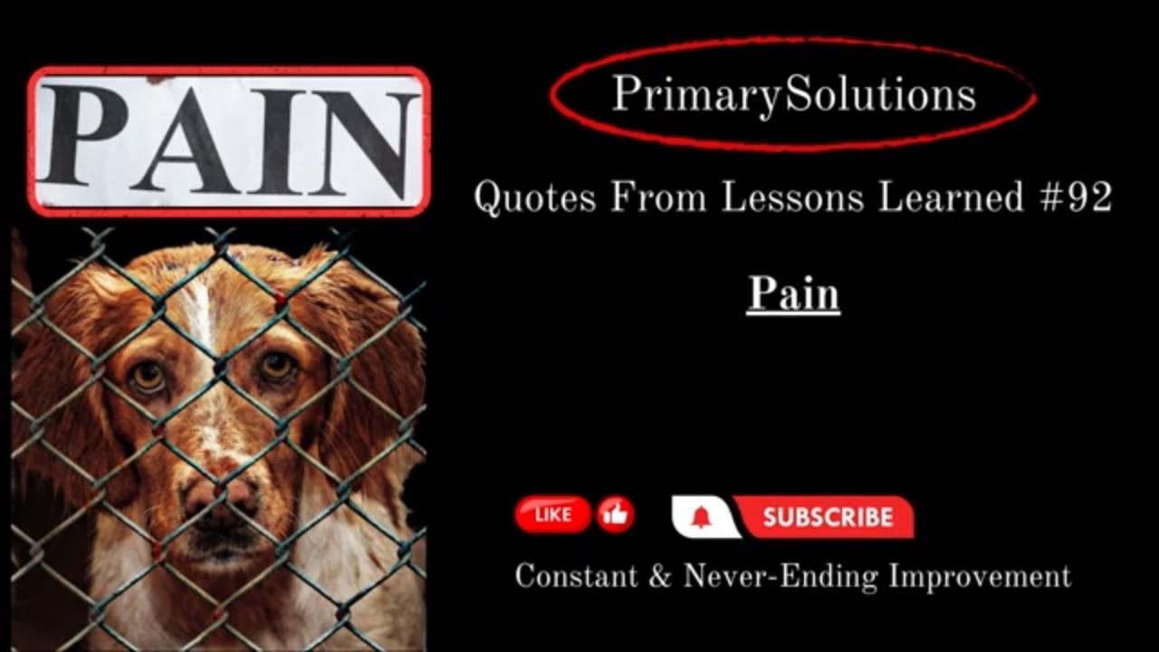 Quotes From Lessons Learned #92 Pain - YouTube