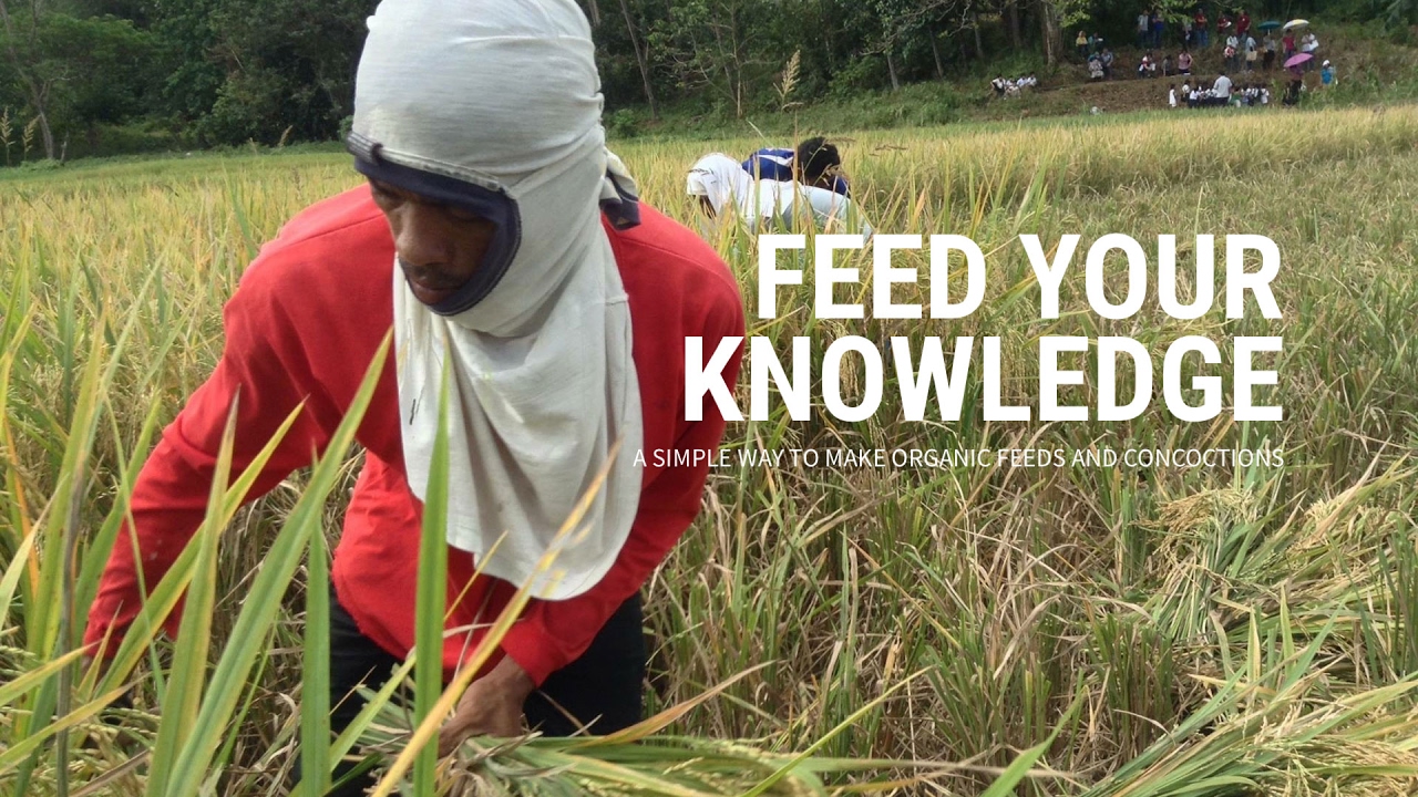 Hybrid Tutorial: How To Make FPJ Fermented Plant Juice - YouTube