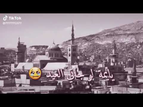 Haydar haydar(11)