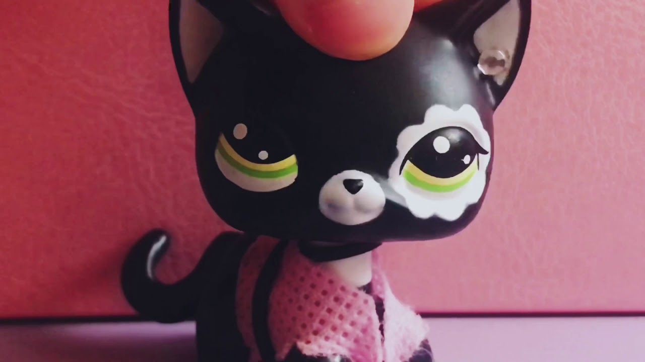 How to make an lps video (plus more tips ) - YouTube