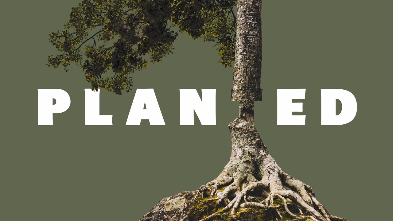 Planted #3: Planted Not Buried - YouTube