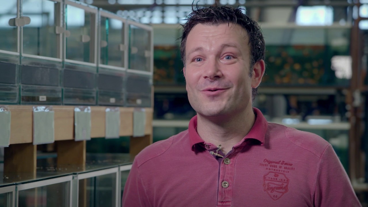 Ruinemans Tom Heebink NL - YouTube