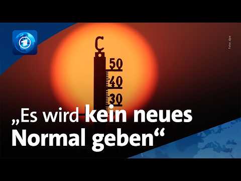 Hitzewellen: Darauf müssen wir uns in Zukunft einstellen