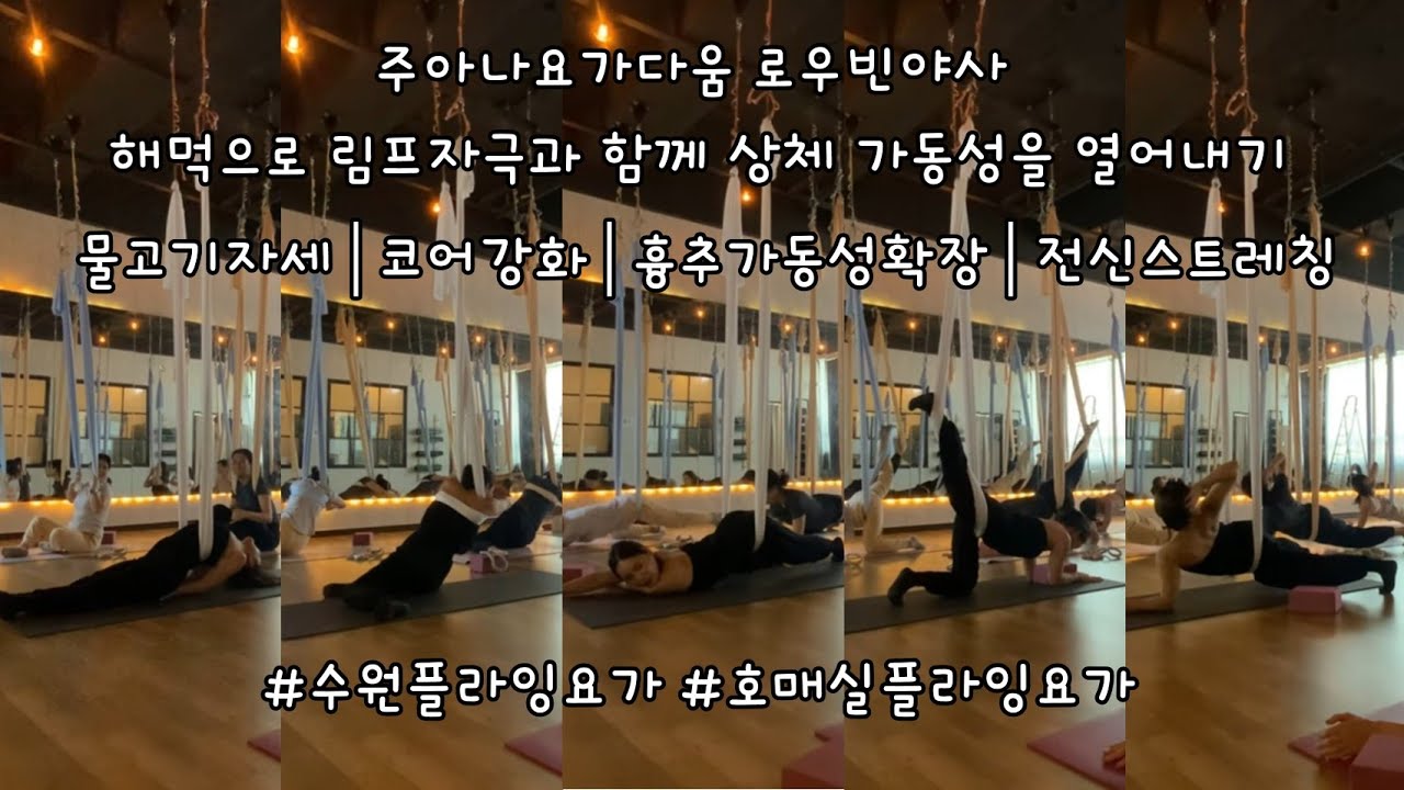 주아나요가다움 로우빈야사 해먹으로 림프자극과 함께 상체 가동성을 열어내기 물고기자세│코어강화│흉추가동성확장│전신스트레칭 수원