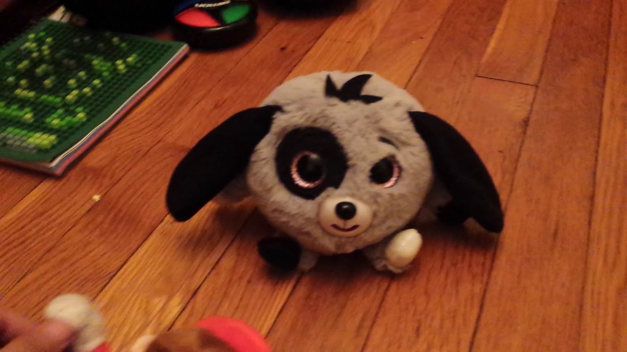 Jeffy junior gets a pet - YouTube