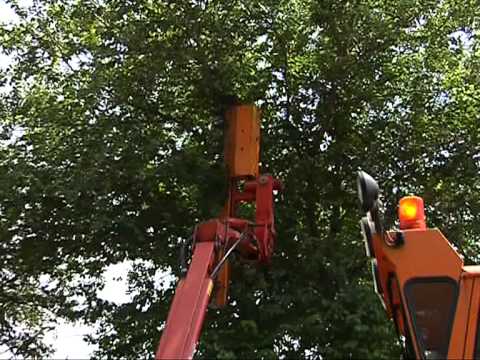 ΚΑΘΑΡΙΣΜΟΣ ΕΠΑΡΧΙΑΚΗΣ ΟΔΟΥ ΠΤΟΛΕΜΑΪΔΑΣ ΓΑΛΑΤΕΙΑΣ ΑΠΟ ΤΑ ΧΟΡΤΑ ΚΑΙ ΤΑ ...