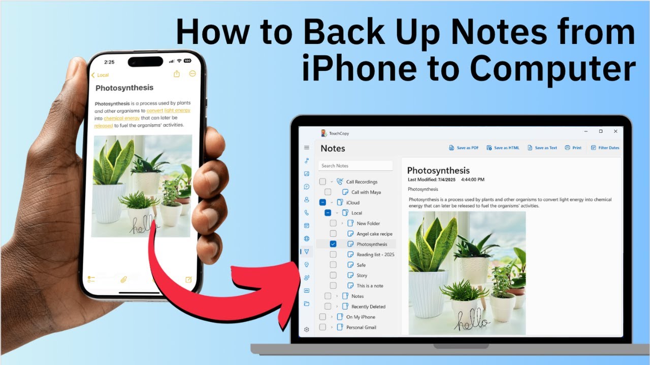 How to Backup Your iPhone Notes to PC - YouTube