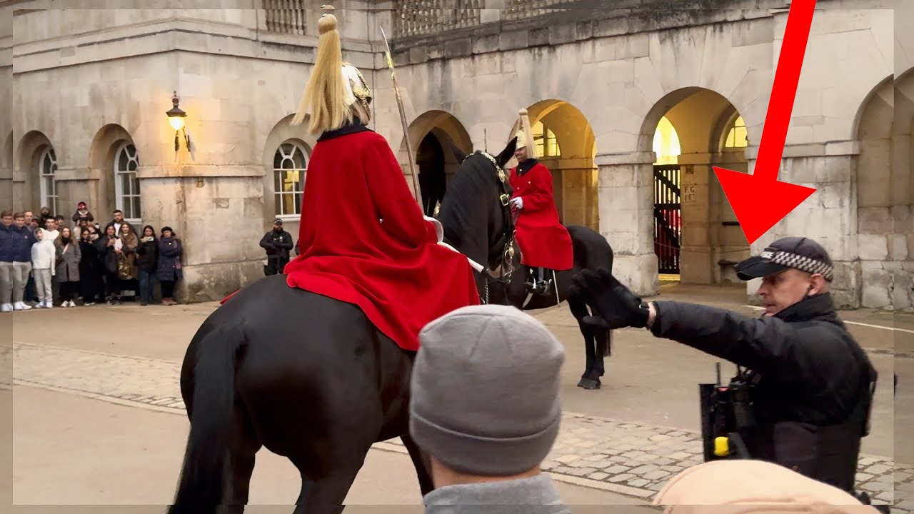 QUICK RESPONSE FROM OFFICER SAVES THESE IDIOTS FROM UNSETTLING HORSE 🐎 ...