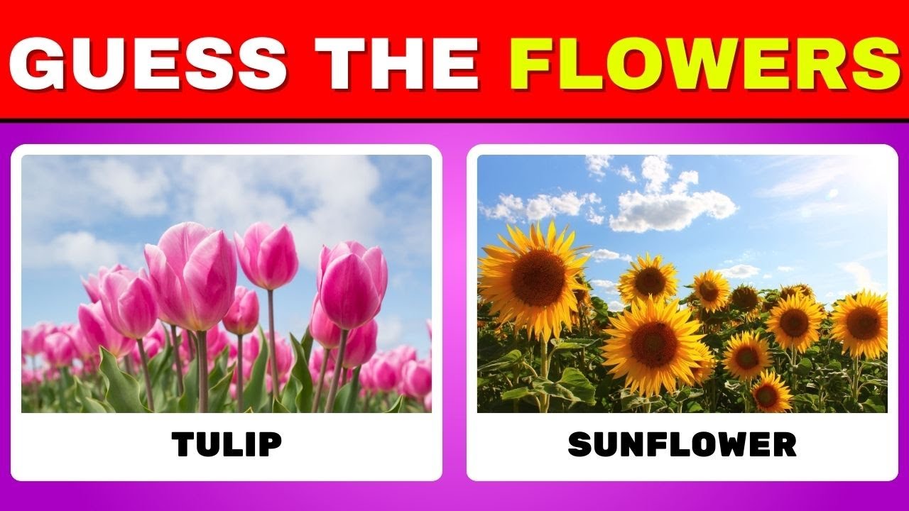 🌸 Guess the Flowers Quiz! 🌼 Can You Name Them All - YouTube