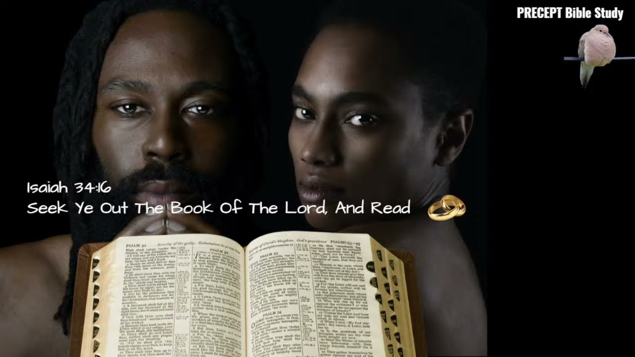 Isaiah 34:16 Seek Ye Out The Book Of The Lord, And Read - YouTube