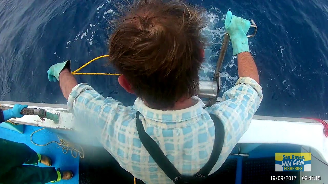 Ocean Jacket fishing - YouTube