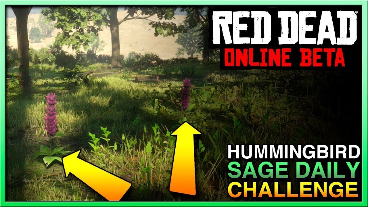 Easy HUMMINGBIRD SAGE | Farm Location | Red Dead Online | Daily ...
