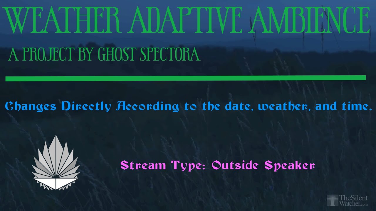 A Calm Forest Walk At Night In Summer | Adaptive Ambience (Outside ...
