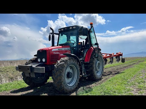 MASSEY FERGUSON 6460 - ÜNLÜ PULLUK İLE YAZLIK YERLERİN SÜRÜMÜ
