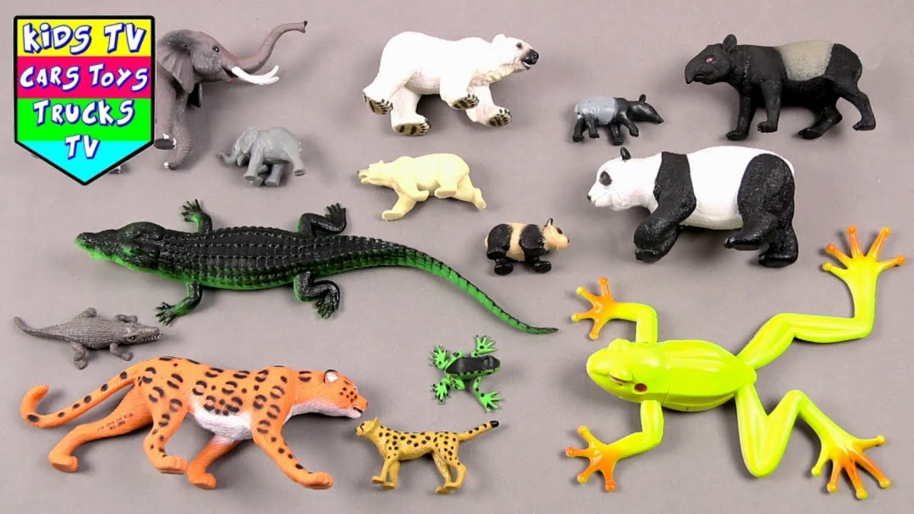 Learn Big & Small Animals for Kids + More Educational Videos - YouTube