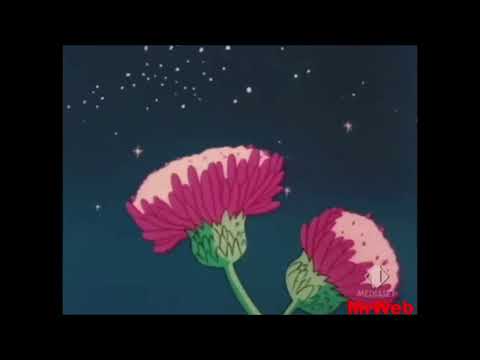 le  Video sigle  Tv    storiche dell'Ape Maia