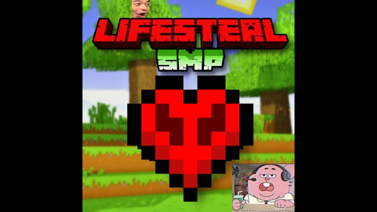 Minecraft Lifesteal SMP Tour! - YouTube