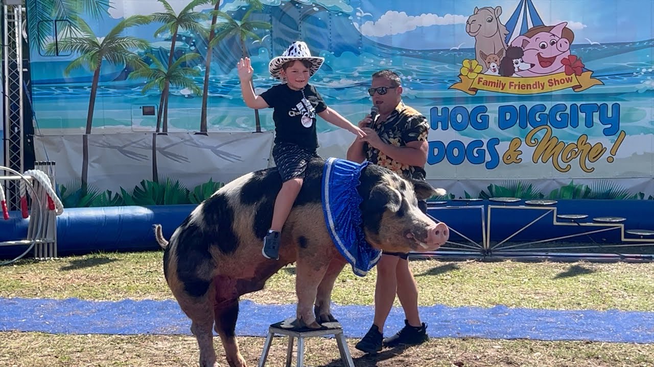Enjoying The Fair in Florida Carnival Hog Diggity Dog & Camel Show ...