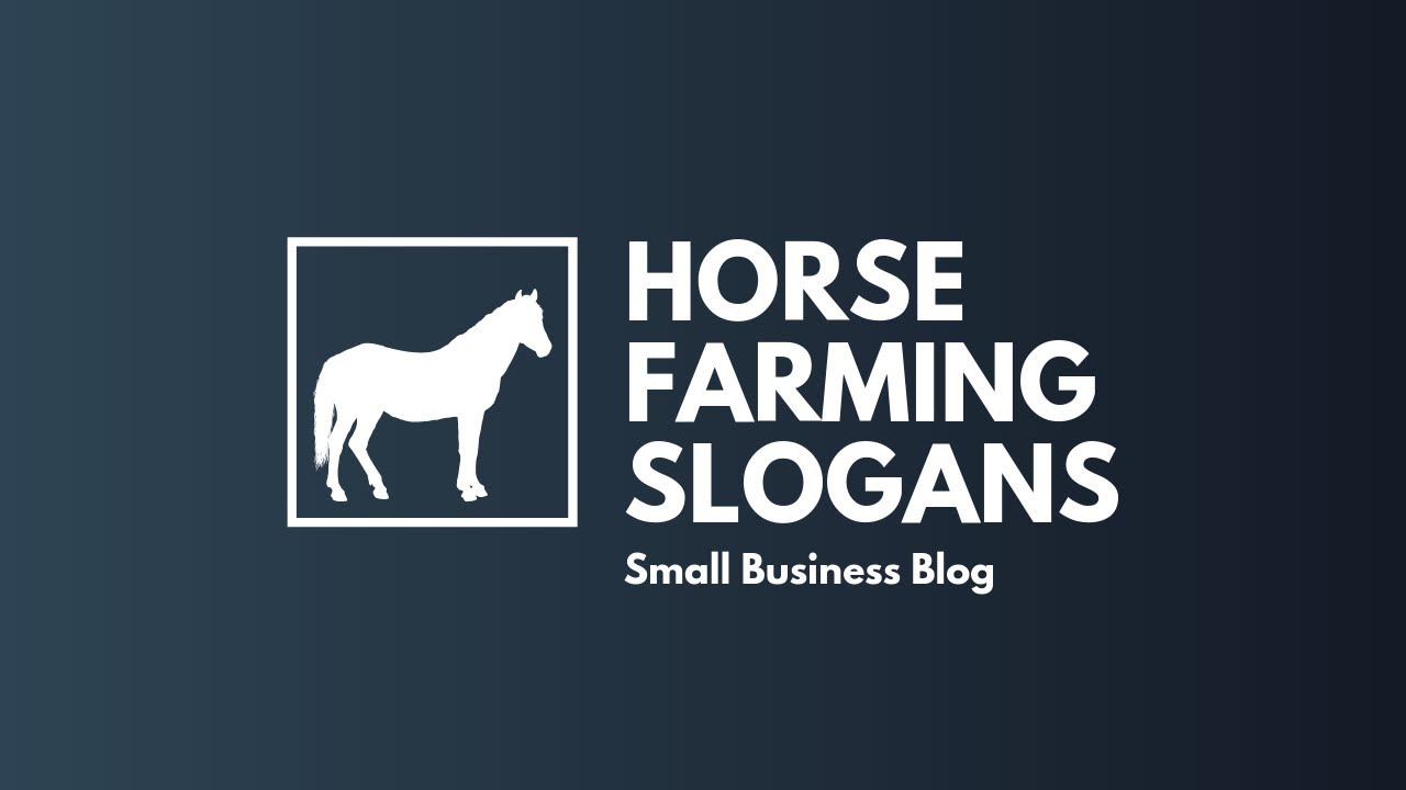101 Good Catchy Horse Farm Slogans Brandongaillecom