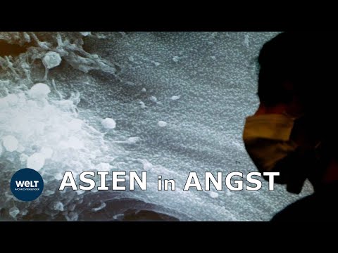 WELT HINTERGRUND: Das muss man jetzt über den CHINA-VIRUS wissen