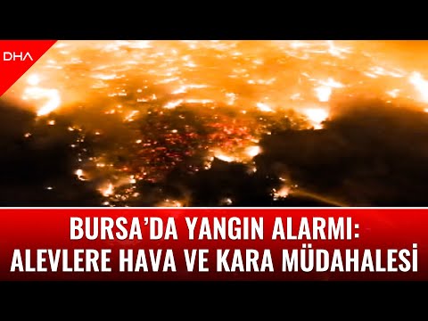 Bursa Yanıyor! Tahliyeler Başladı, Yangın Kontrol Altına Alınmaya Çalışılıyor