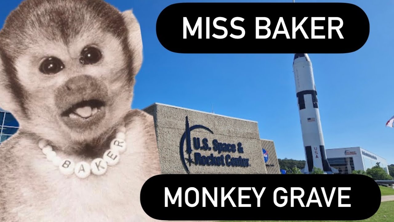 I WENT TO THE GRAVE OF A MONKEY WHO WENT TO SPACE, GOT MARRIED TWICE ...