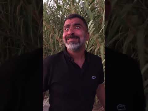 Erkan Abi Yakalandı