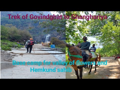 Govind ghat to ghanghariya trek: base camp for valley of flowers and ...