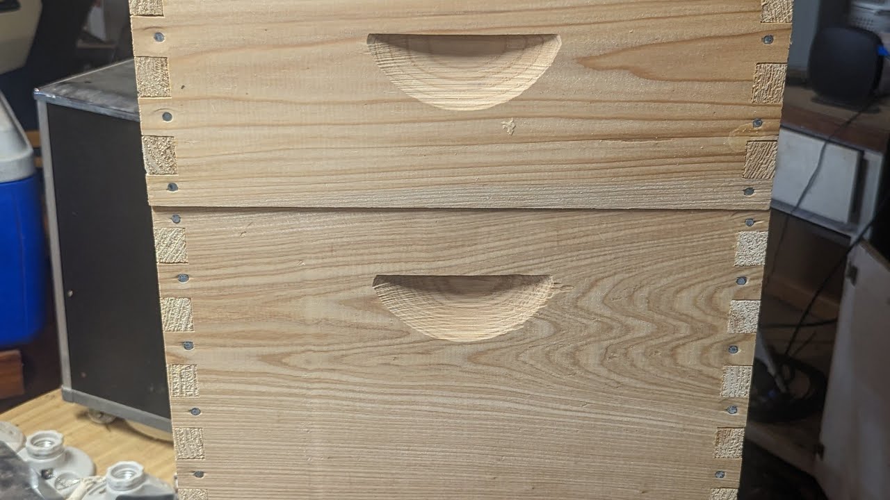 Our first Beehive on Farm! - YouTube