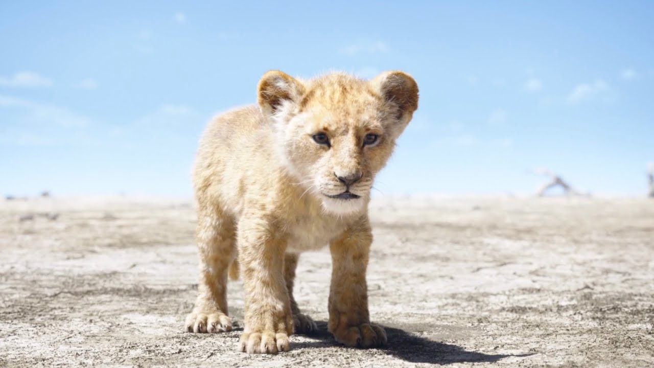 Libaaxan Yariis ah oo Ku lumay Saxaraha, kadib Dhimashadii abihisa Dawo ...