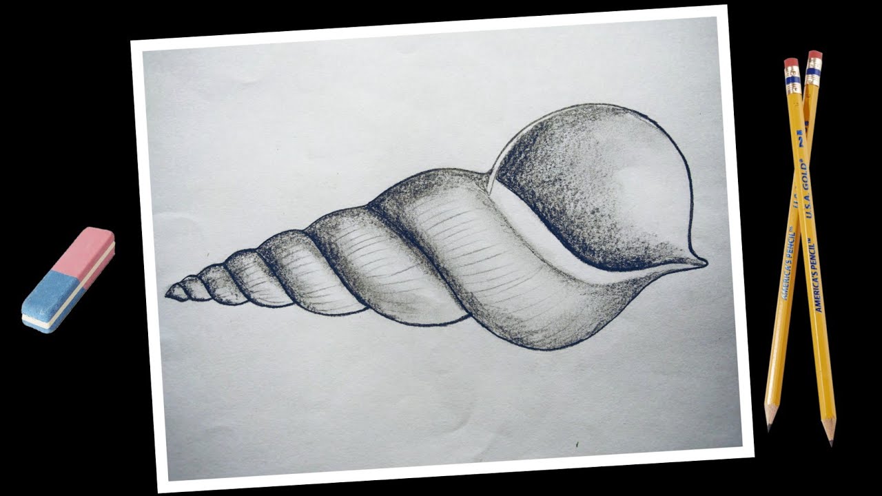 Snail Pencil Sketch