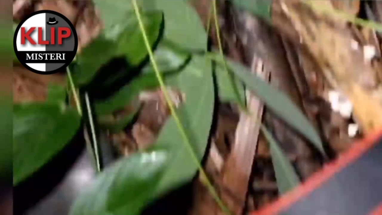 CREEPY! Real Kuntilanak Indonesia Ghost - YouTube