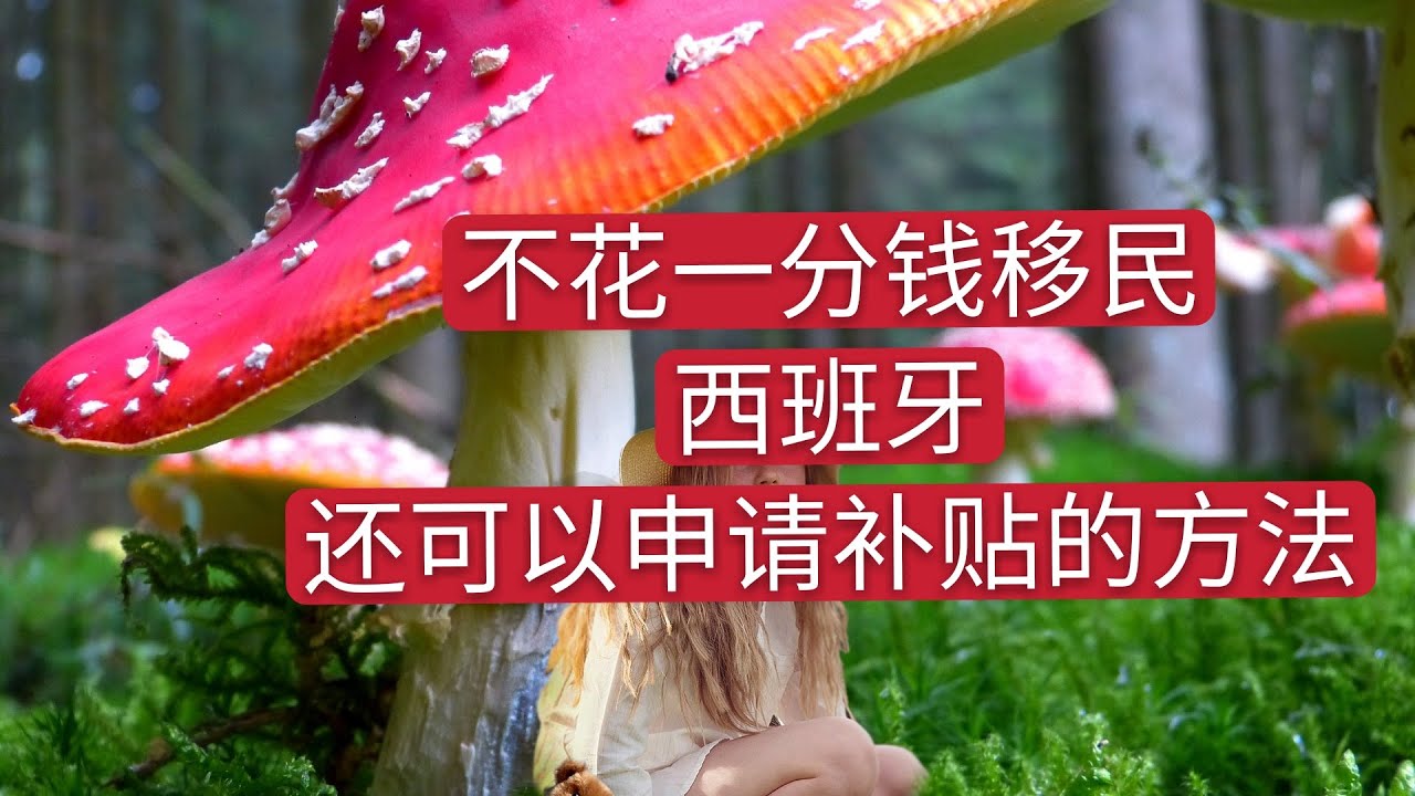 不花钱移民西班牙的方法――政治庇护。不但不花一分钱还可以申请补贴。5年拿国籍,如果你是新疆西藏内蒙等少数民族或是法龙功学员那么恭喜你99 99