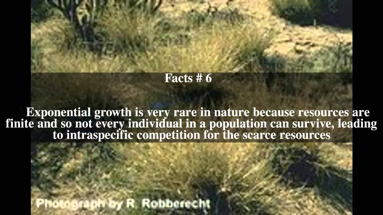 Intraspecific competition Top # 16 Facts - YouTube