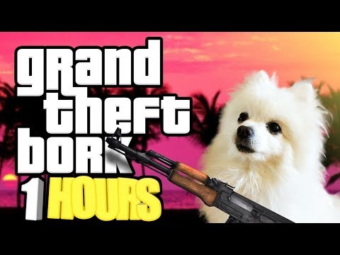 video dog gabe 1 hour