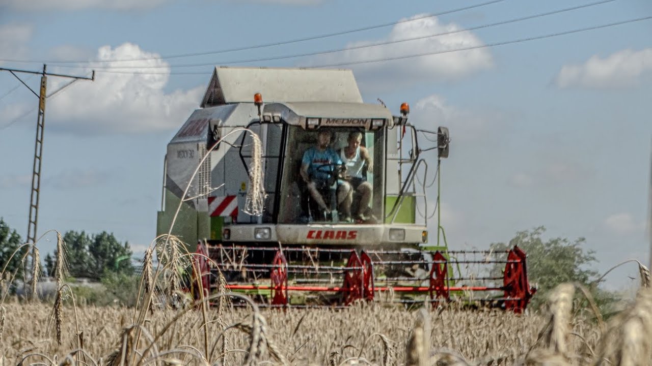🇵🇱Żniwa 2024🔥Jęczmień Pod Kosę🔥Koszenie 10km/h?!🔥 Ur Jack-Pol - YouTube