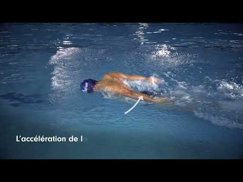 Tuto 12 : les bases techniques du papillon