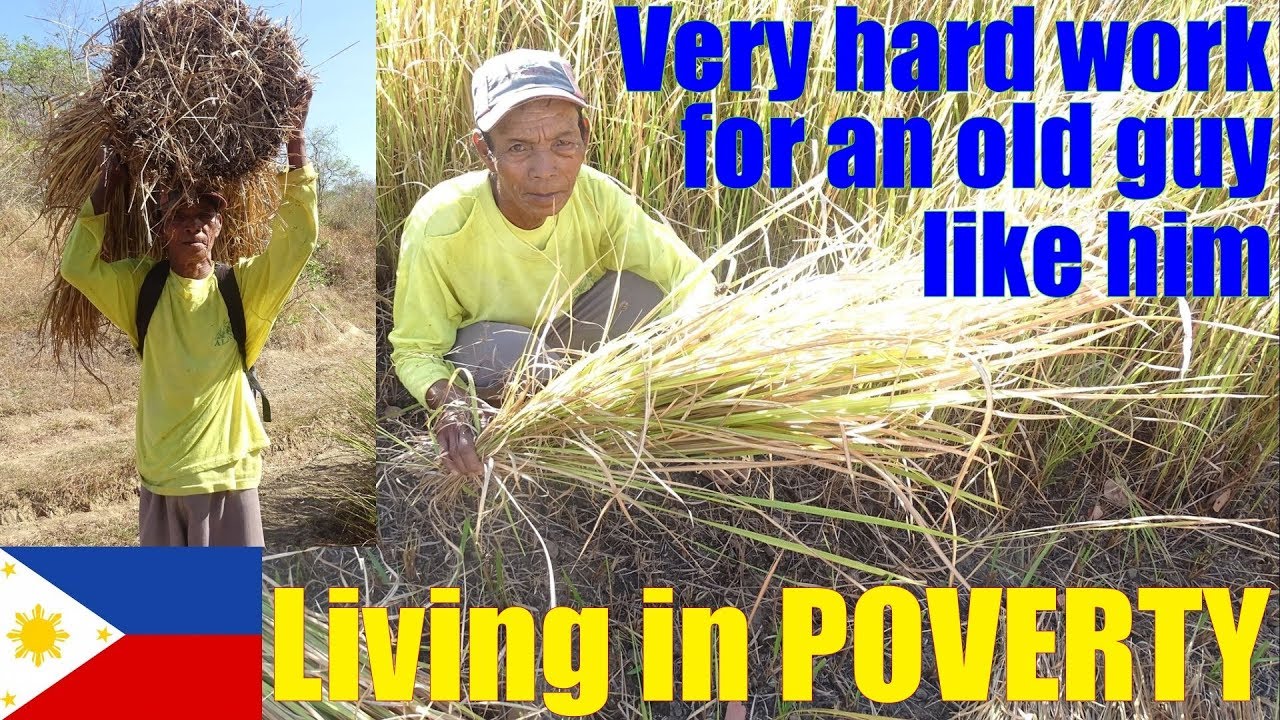 Travel to the Philippines and Meet Some Very Hard Working Filipino ...